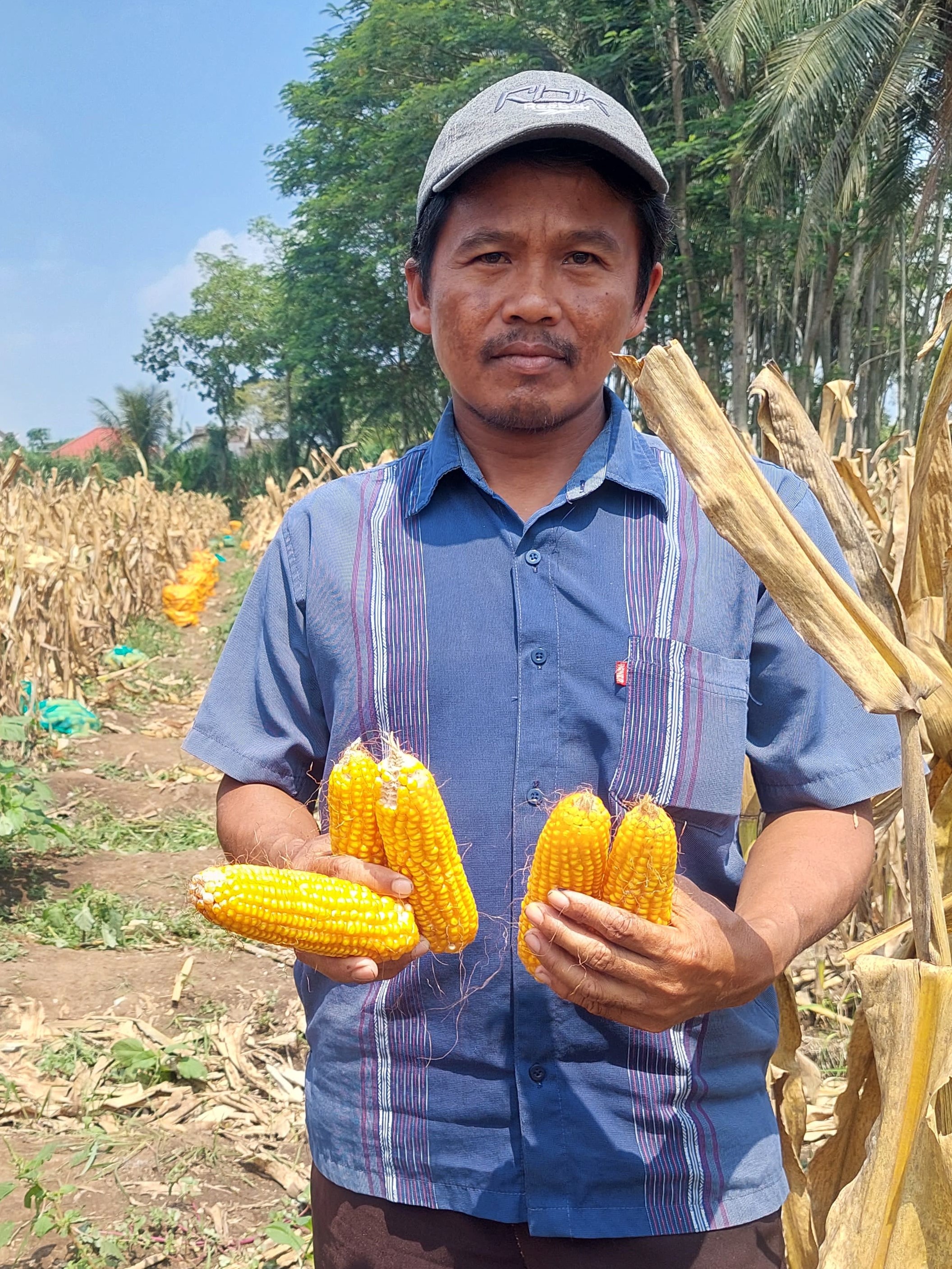PT. Widji Nusantara Makmur