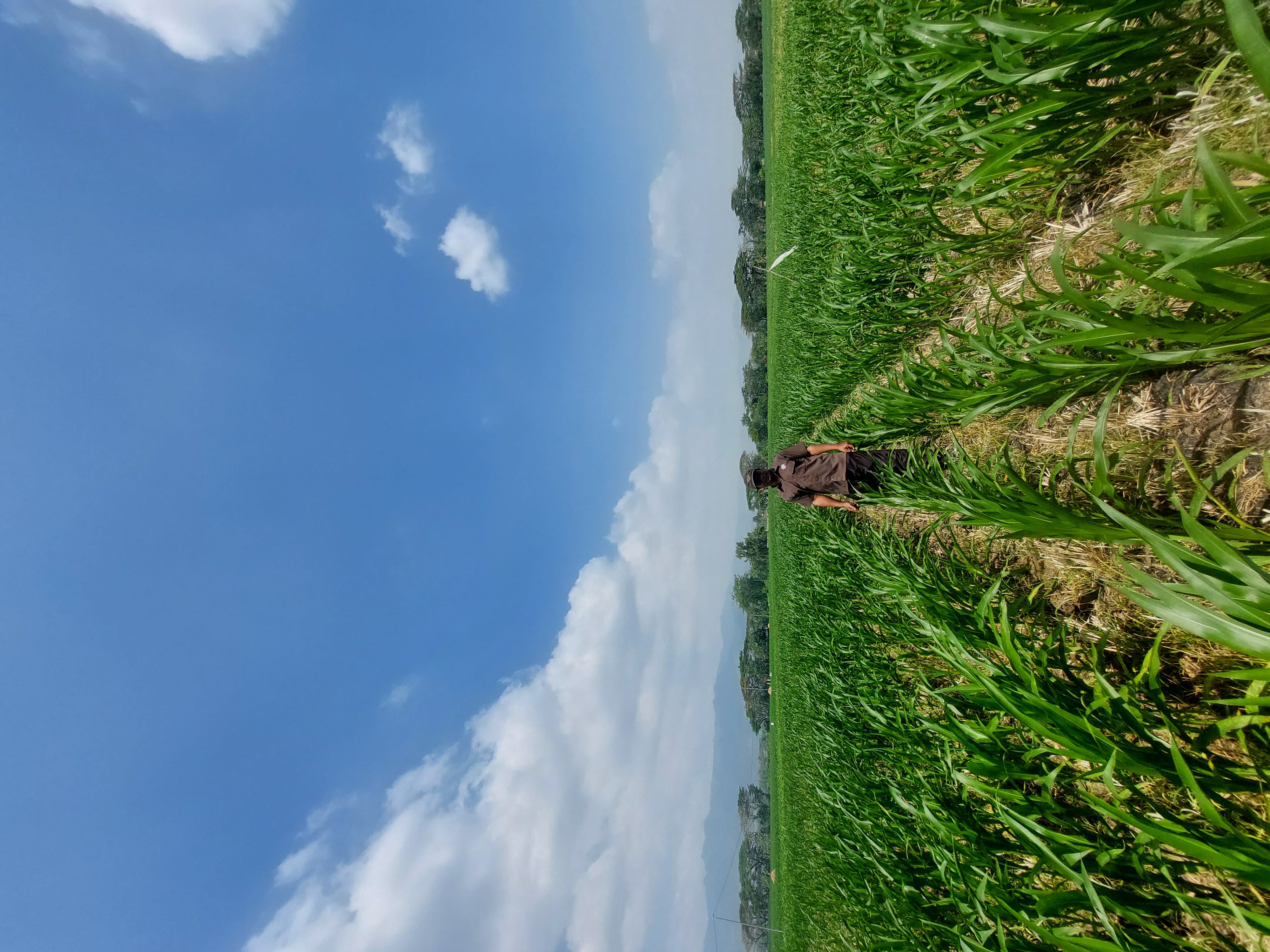 PT. Widji Nusantara Makmur