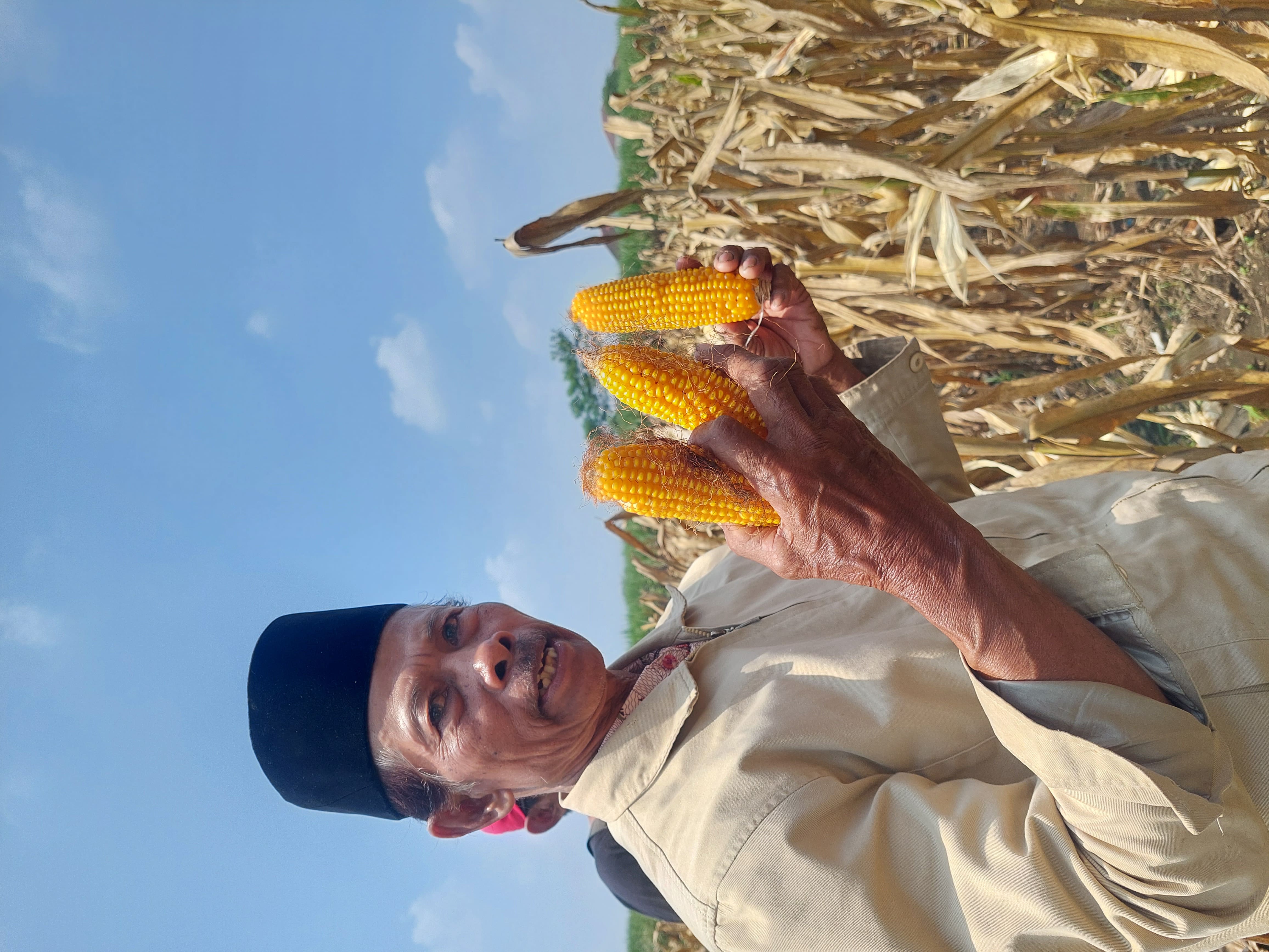 PT. Widji Nusantara Makmur